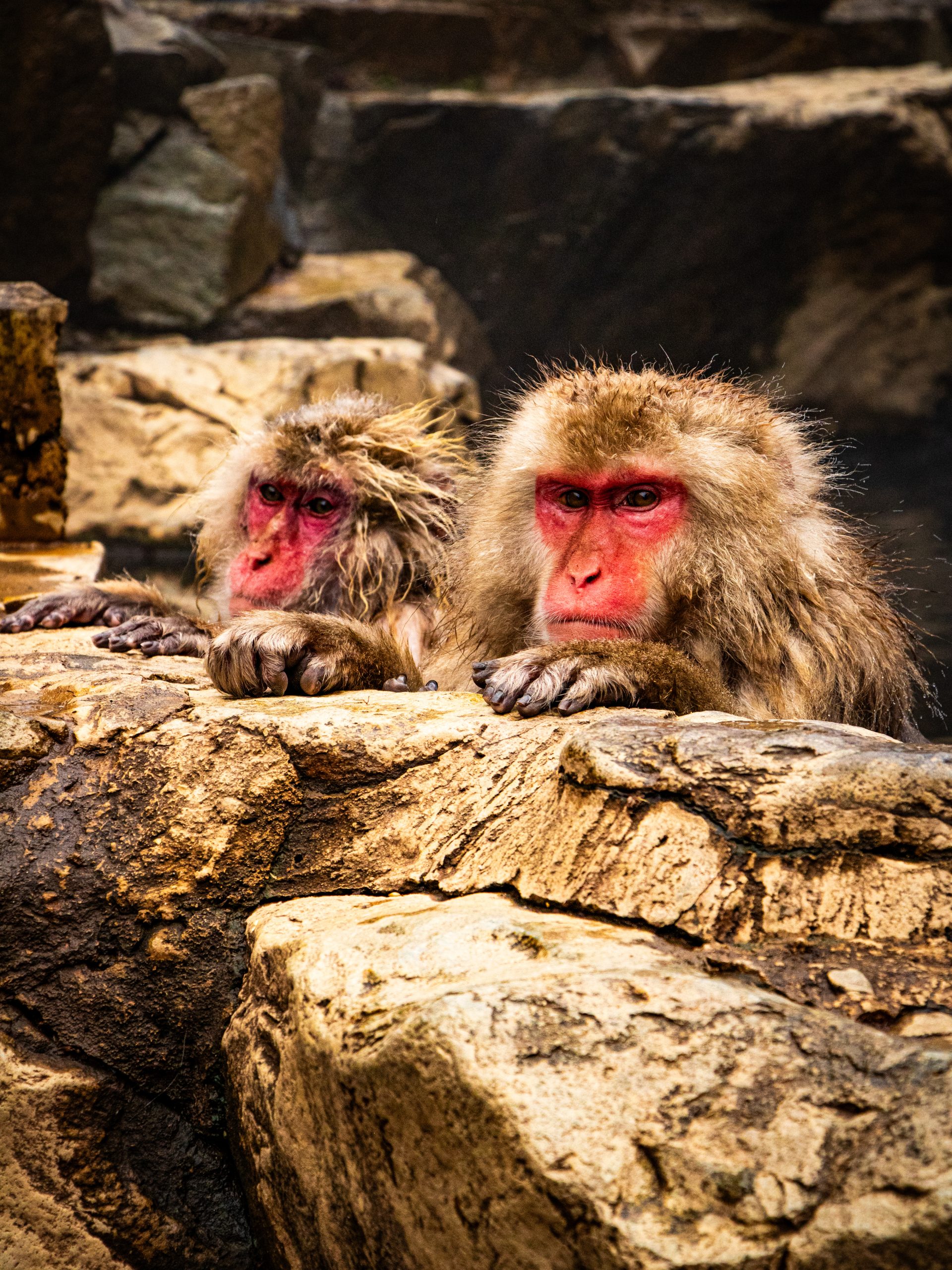 Destinations – Landmark & Legends